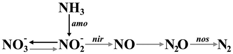 Eliminite: A Better Advanced On-Site Wastewater Treatment System ...