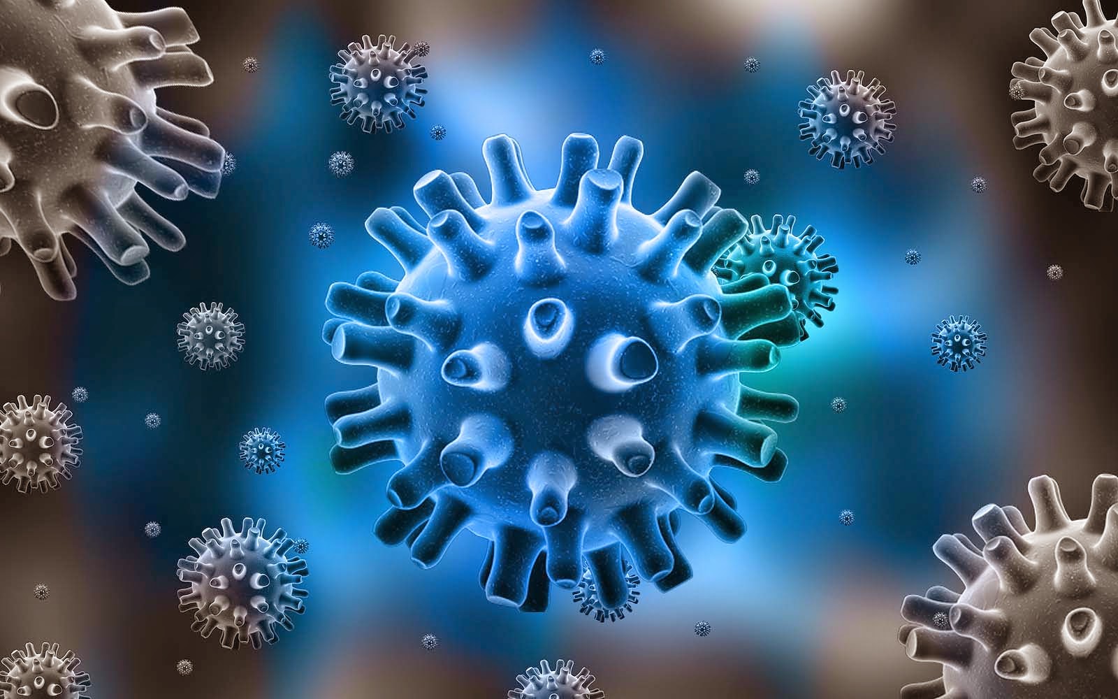 Virus del herpes se vincula con una peligrosa enfermedad de los vasos ...