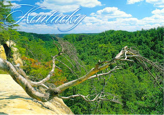 Around the States in 50 Postcards: Our Beautiful Kentucky Postcards