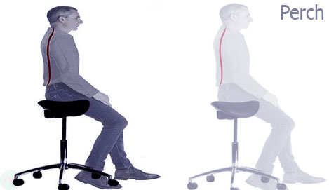 Body Positions Name Meaning & Picture | Necessary Vocabulary ...