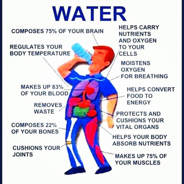 How to Rid Your Body of Excess Fluid and Water Weight - The Big Riddle