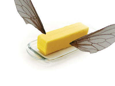 Computer Art & Animation: Day 10 Literal translations 5 of 5