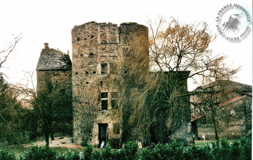 LA FRANCE MEDIEVALE: FRONTONAS (38) - Maison-forte de Certeau
