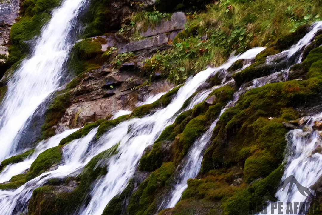 Traseul către Cascada Valea Spumoasă, Bușteni