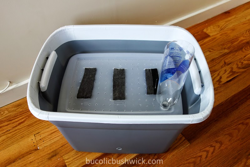 Bucolic Bushwick: DIY Self Watering Container and Mini Greenhouse from ...