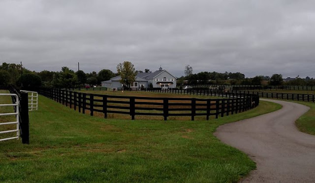 The American Saddlebred: 10/3/15 Kentucky Fall Classic Horse Show