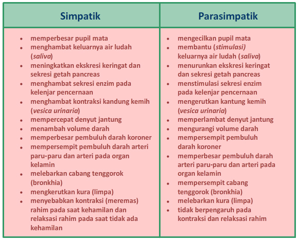 Institut Hypnoterapi