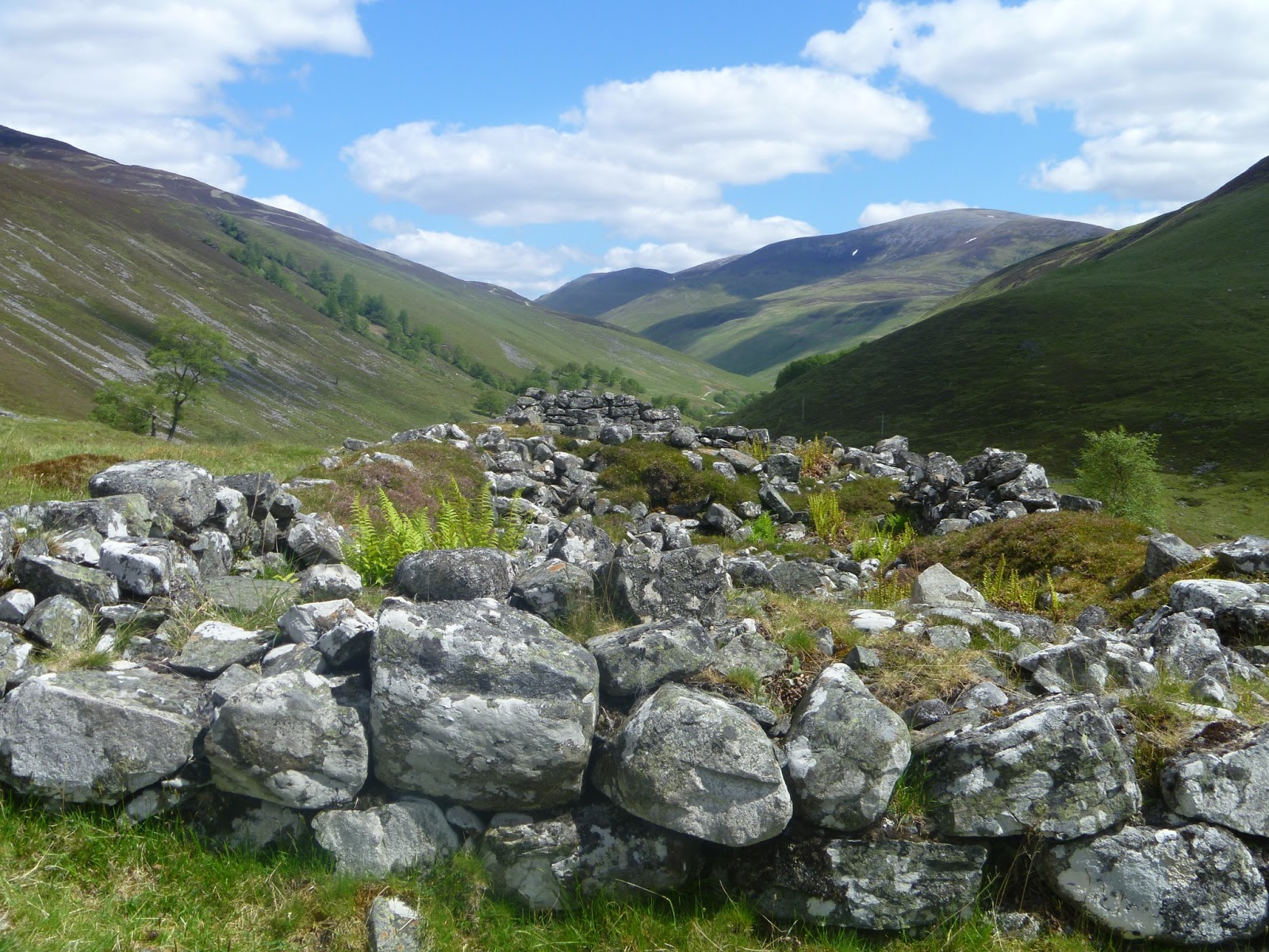 Desmondo's Ramblings: Glen Tilt - Old Bridge of Tilt - Gaw's Bridge