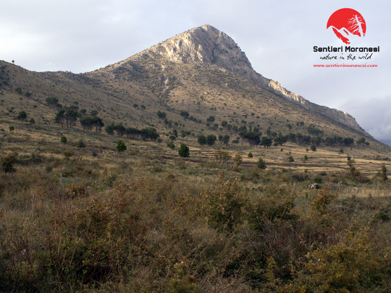 Pollinomountainrange: Monzone "la classica" dal versante Sud