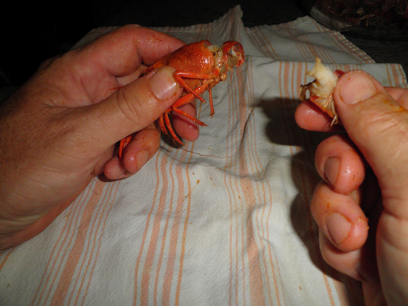 Cabbage Ranch: How To Peel a Crawfish