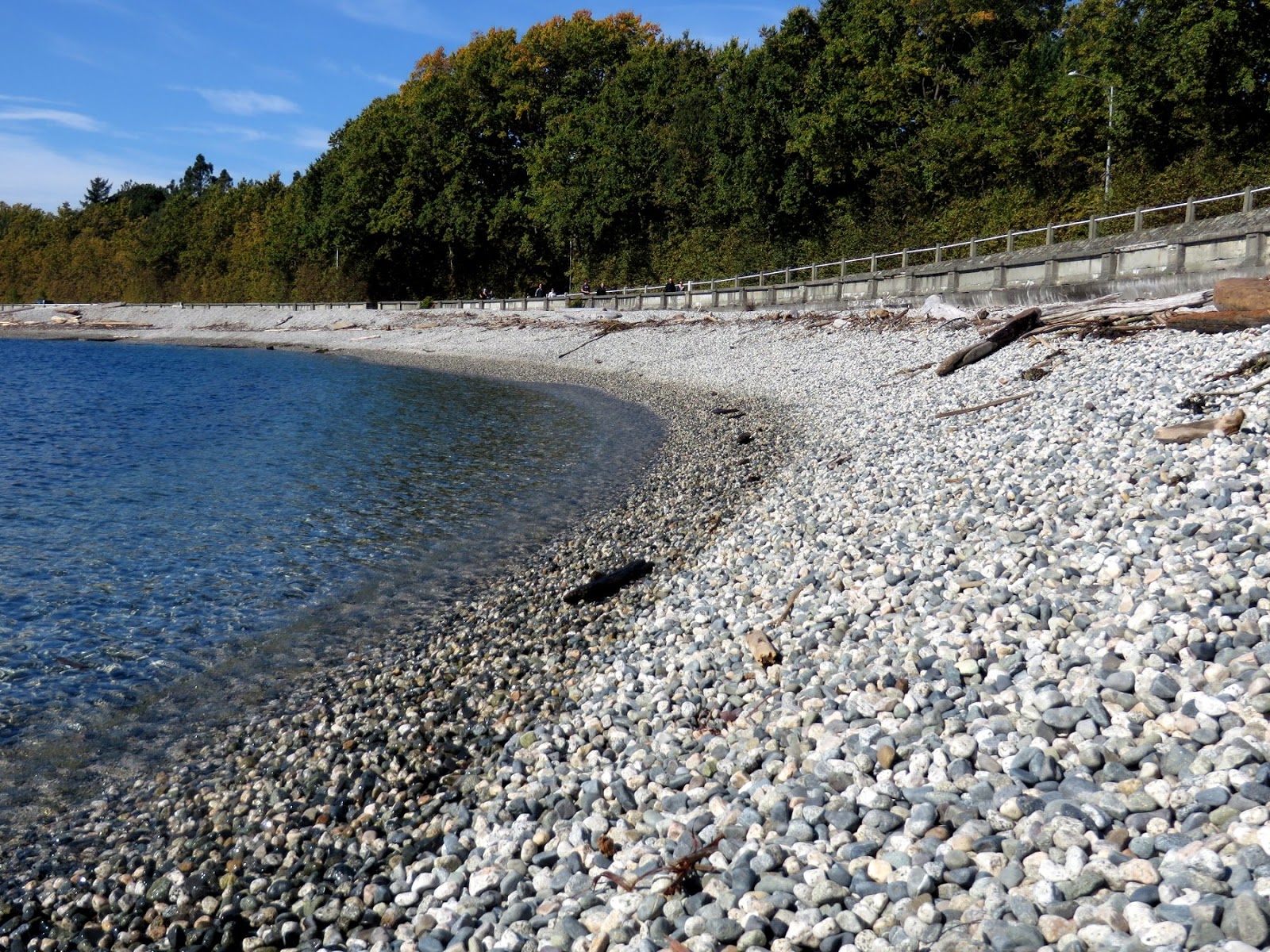 Gravel Beach: Ross Bay