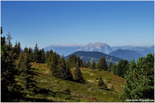 LOMARTISTIC: Ein Stein am Mandl