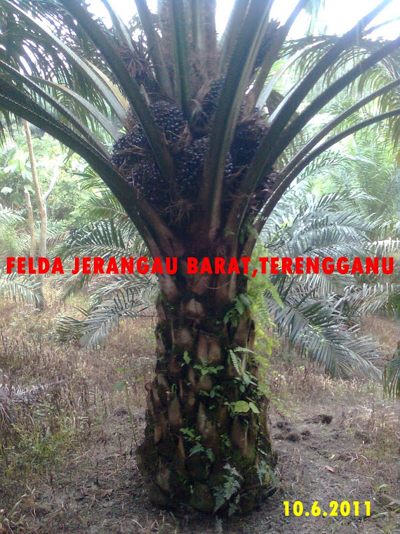 BAJA KELAPA SAWIT,GETAH DAN BUAH-BUAHAN
