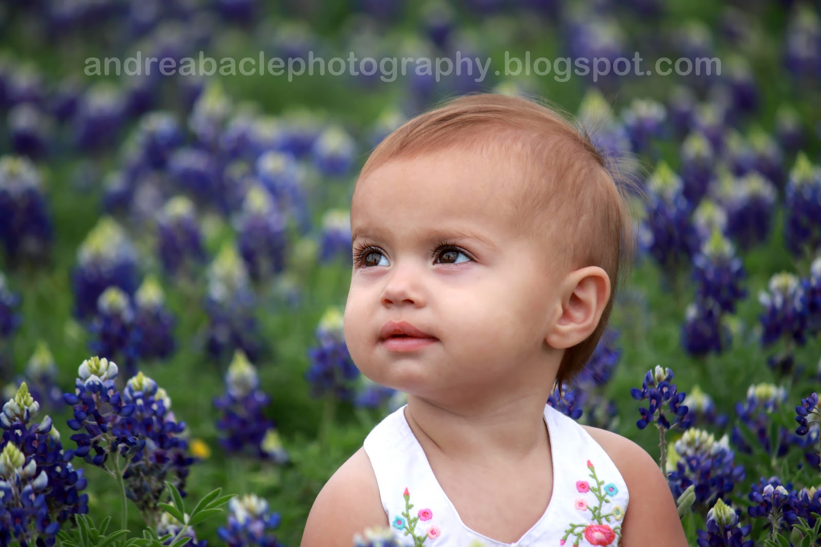 Andrea Bacle Photography: Bluebonnet Babies! The Woodlands, TX, family ...