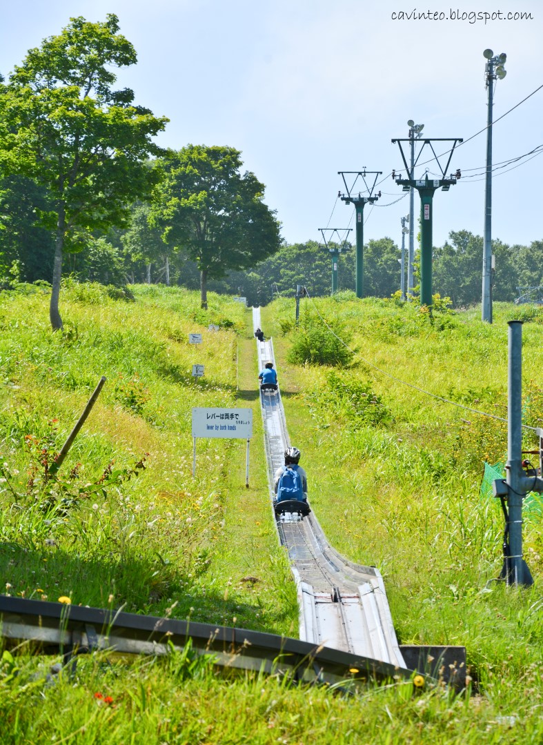 Entree Kibbles: Tenguyama Slide - The Sled Ride on the Summit of Mt ...