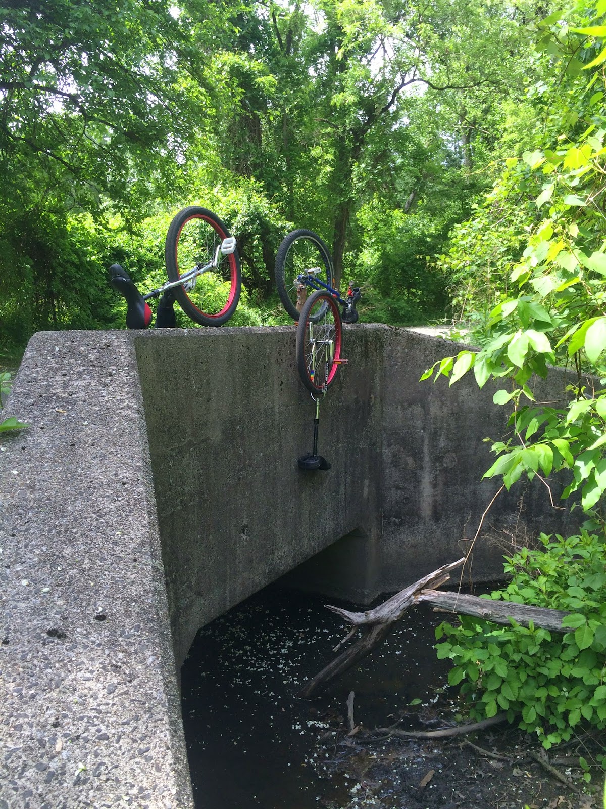 Unicycle Bridge Tour: #410 Van Cortlandt Golf Course Trail Bridge ...