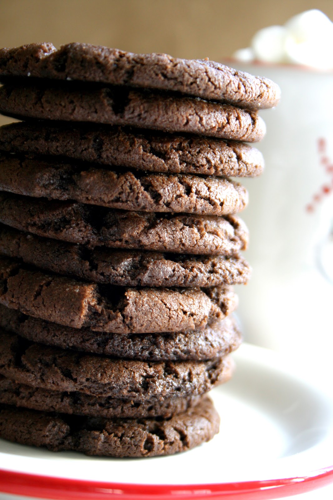 BREANNA'S RECIPE BOX: Grammy's Chocolate Cookies