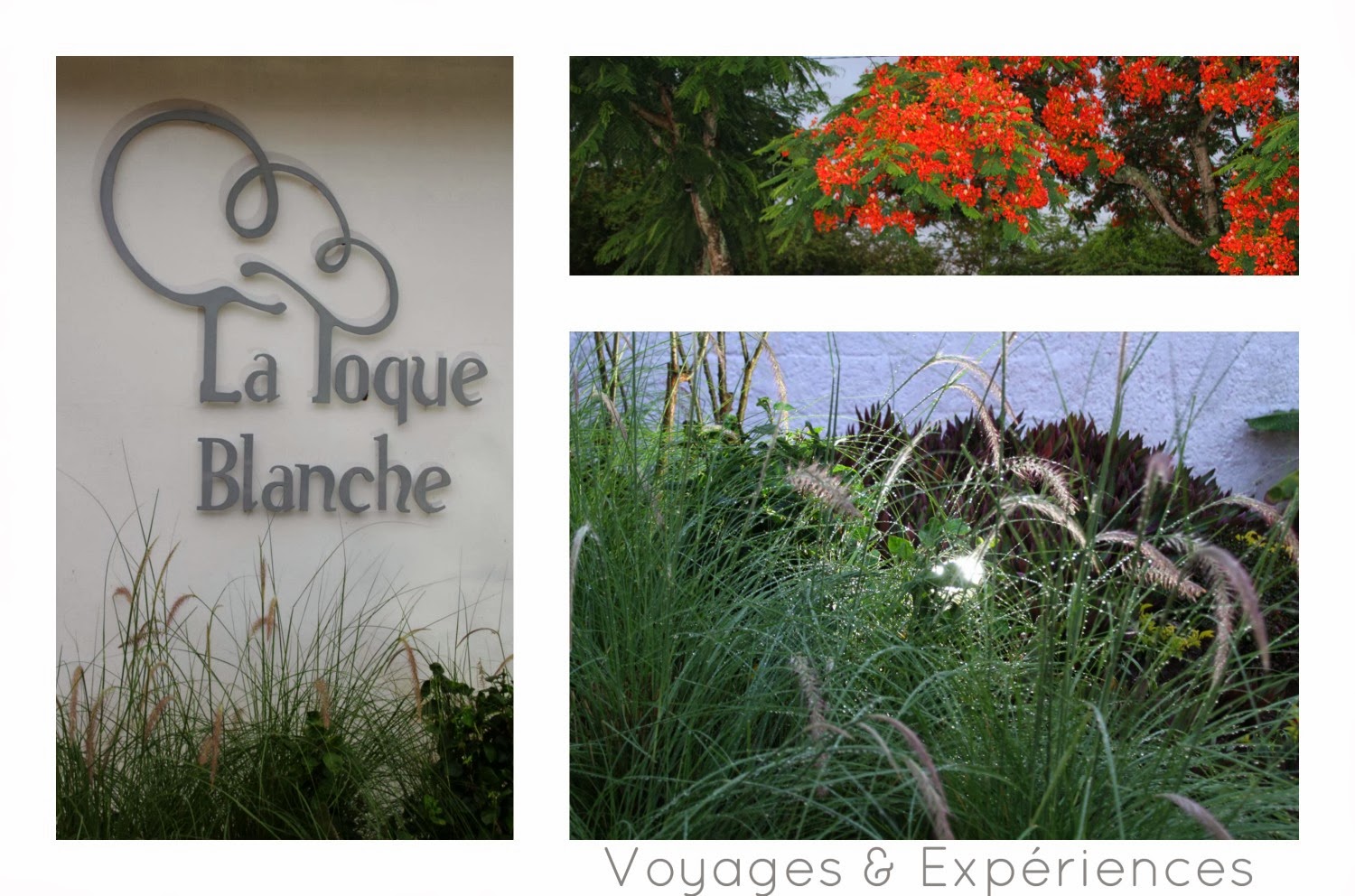 Voyages et Expériences : Maurice: La Toque Blanche, Dîner Gourmand