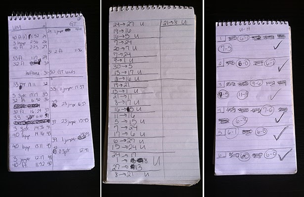 A Peek Inside My Reporter's Notebook | Freedom of Excess