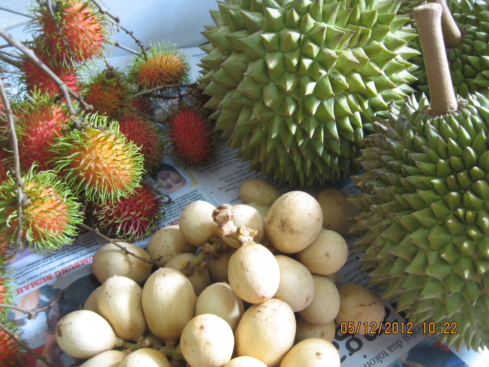 relakslah sekejap : cuit apa yang patut: TENGAH MALAM CARI BUAH DURIAN ...