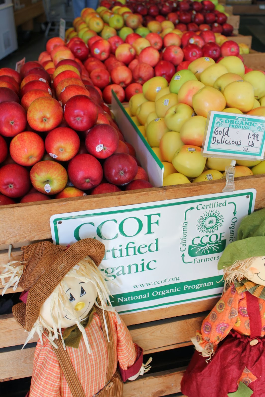 The Vegan Hucklebuck: Ocean Beach People's Organic Food Market San ...