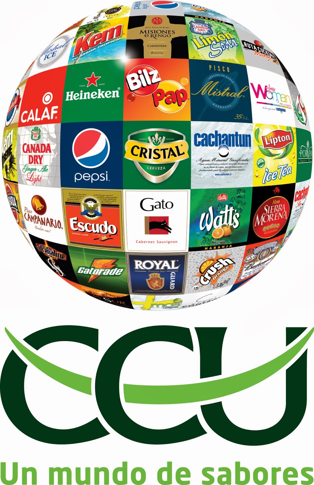 En Semillas de Agua "CCU viene por nuestras aguas a Paine"