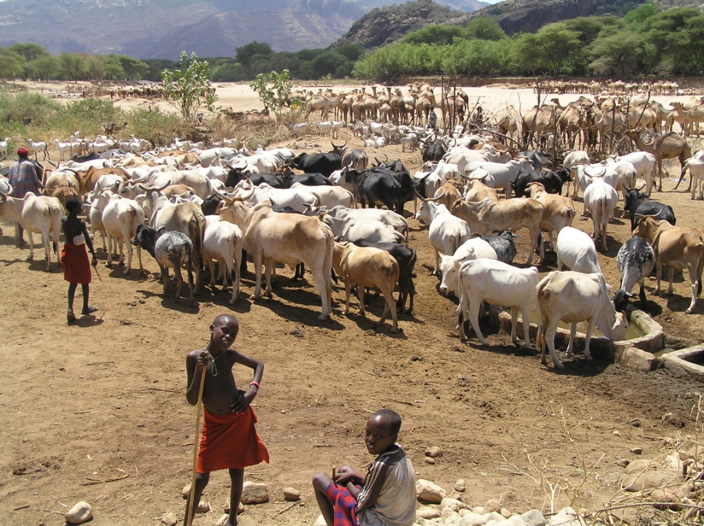 LEMUKOL'S: This is why I refuse to preach against pastoralism