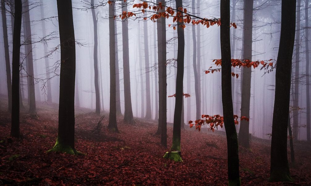 Slike | urbane legende,istinite strasne price i ukleta mesta