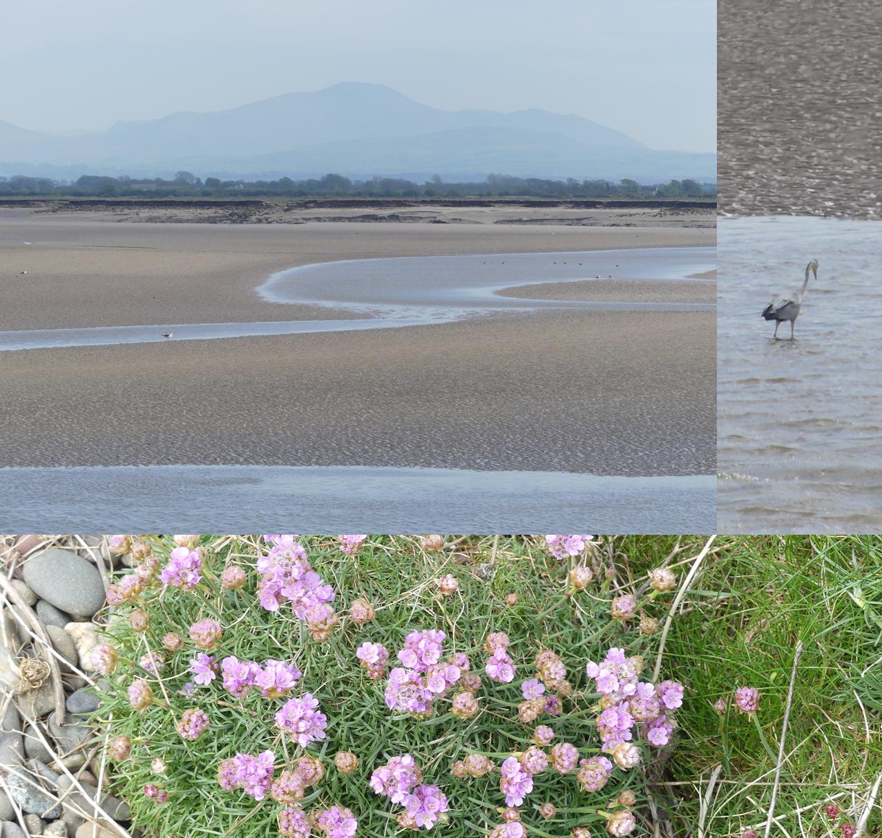 Julia Garner : Grune point, Silloth, Cumbria ......