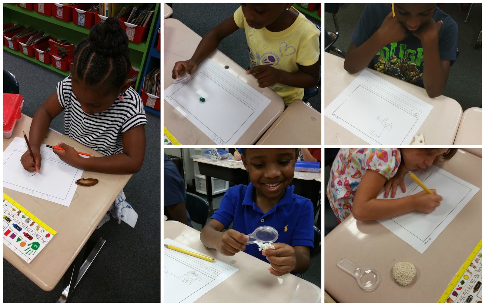 littlecubliteracy: Looking Closely: Observing, Labeling and Listing ...