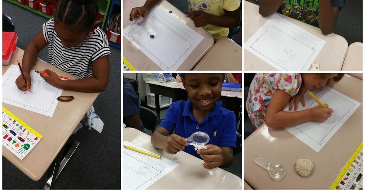 littlecubliteracy: Looking Closely: Observing, Labeling and Listing ...