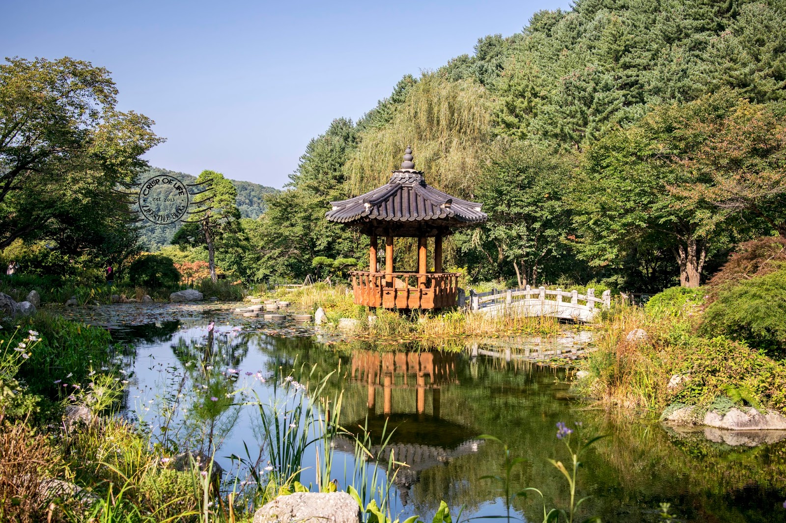 Nami Island & Garden of Morning Calm Tour @ Korea [sponsored/Trazy.com ...