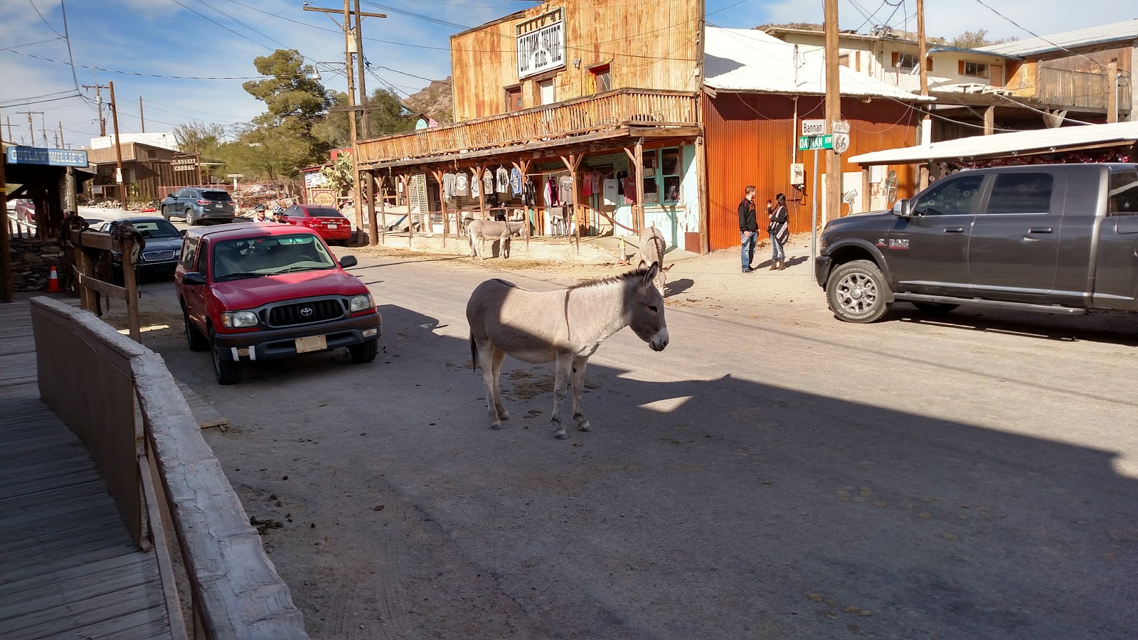 Where in the U.S. are Dave and Shannon: Oatman, AZ - mule town