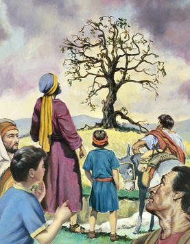 THE WITHERING FIG TREE