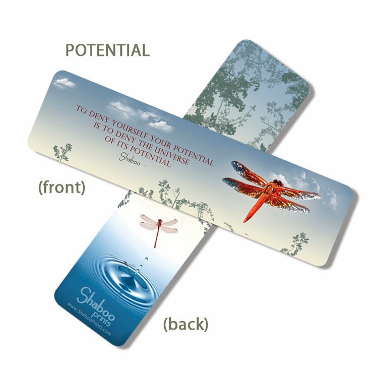 New Age Mama: Inspirational Cards from Shaboo Prints