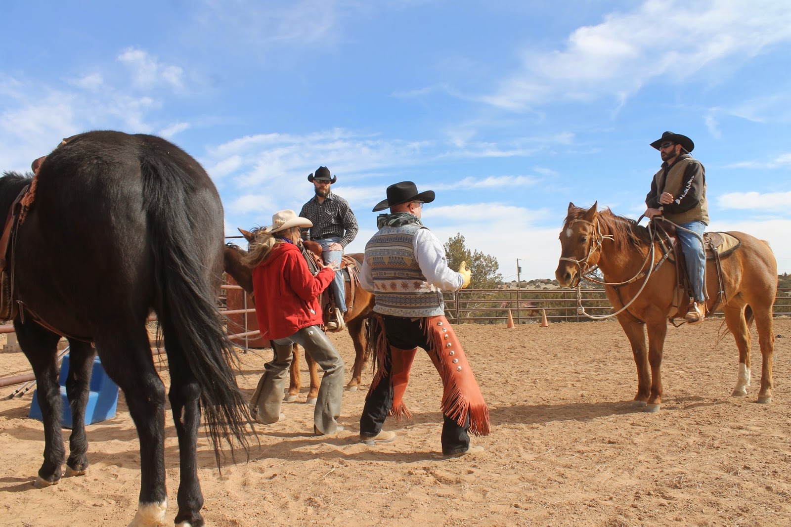 HORSES FOR HEROES New Mexico - Cowboy Up! 505-798-2535: First time ...