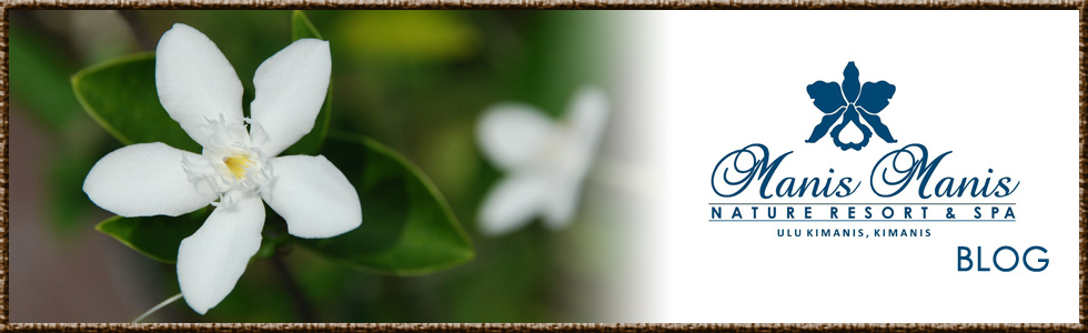 Manis Manis Nature Resort & Spa Blog: Closing Event for Borneo Safari ...