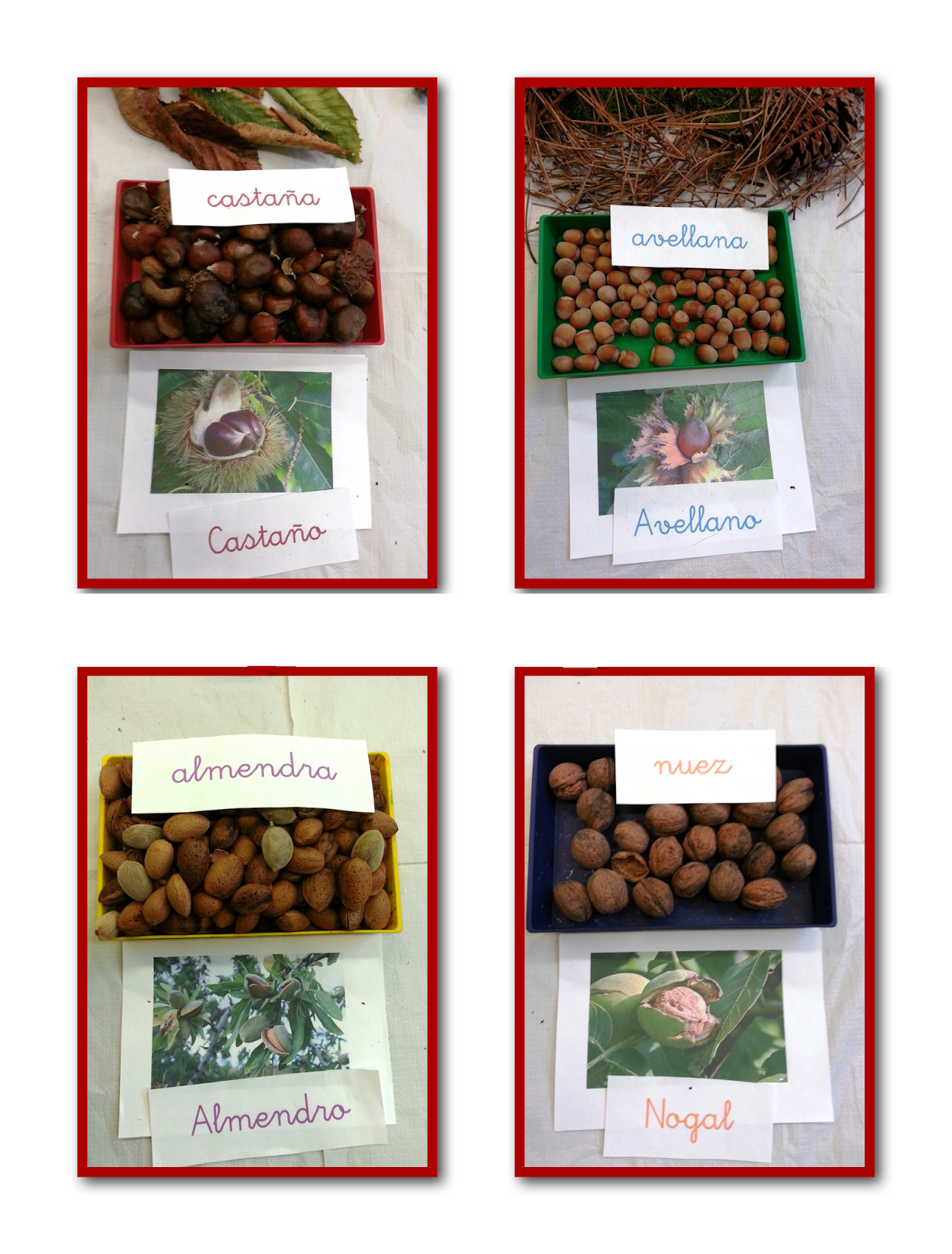 BLOG 1º DE PRIMARIA: LOS FRUTOS SECOS DEL OTOÑO