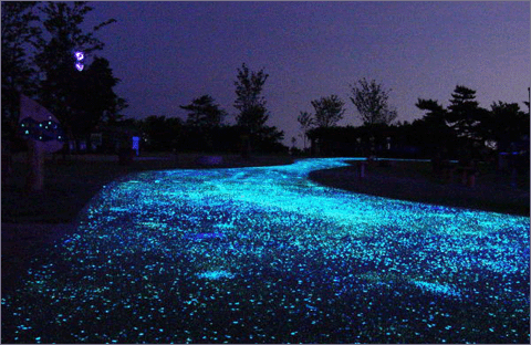 Lyndsay Williams Blog : Glow in the dark path in Cambridge - Starpath ...