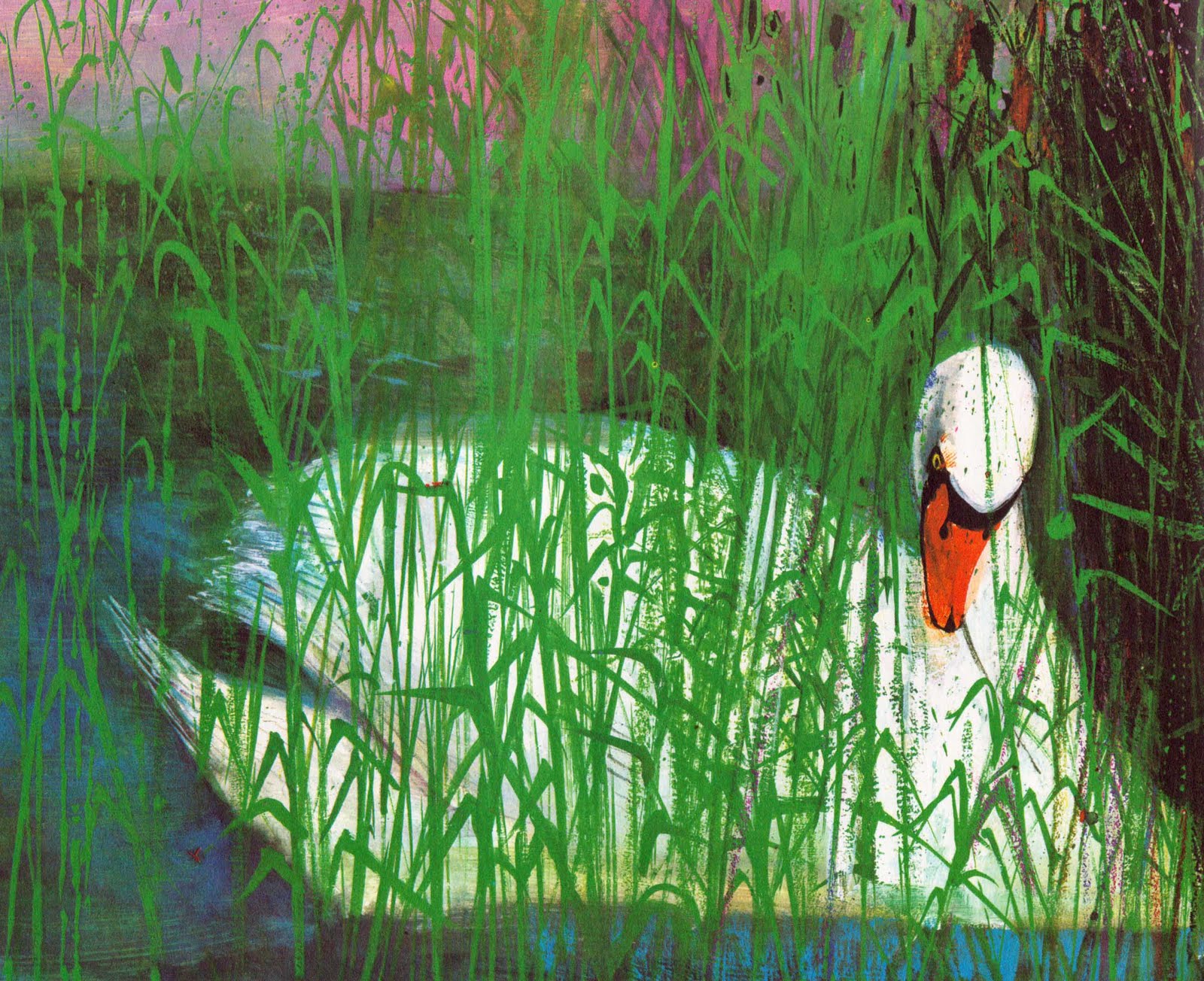 Vintage Kids' Books My Kid Loves: Brian Wildsmith's Birds