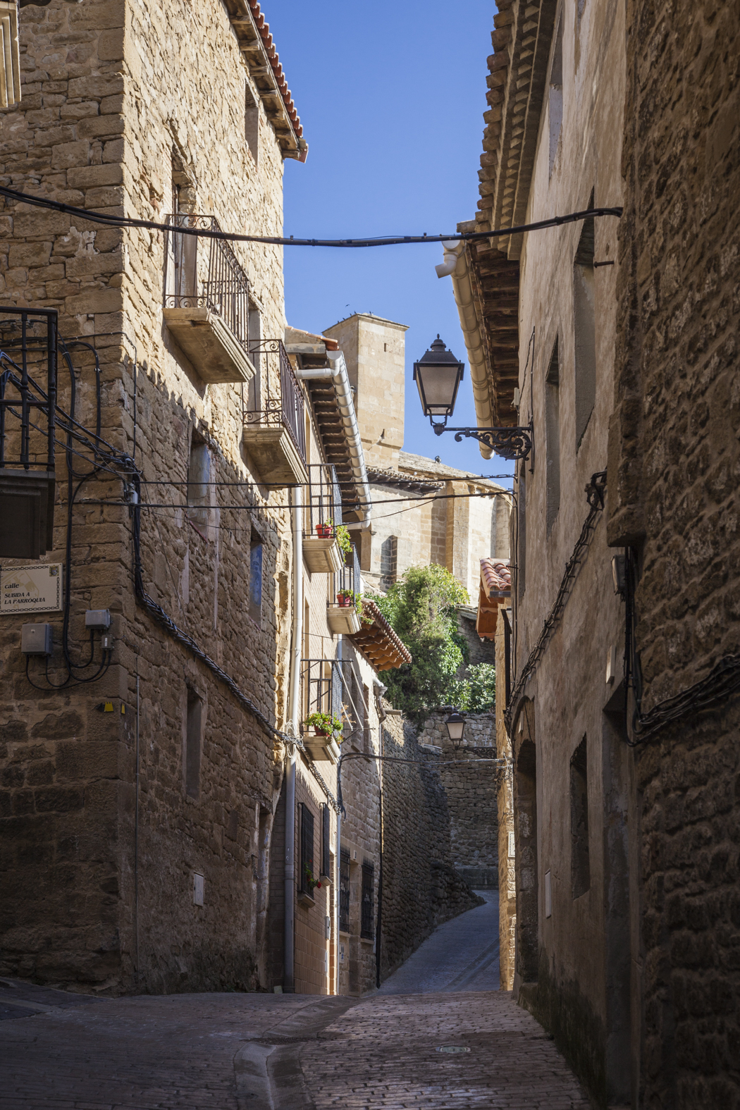 COMPARTIR SIN PRISA: Terencio y D. Eustaquio