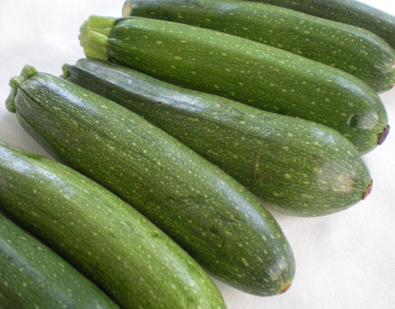 A Cook and Her Books: Gad Zukes! It's Time for Zucchini Bread!