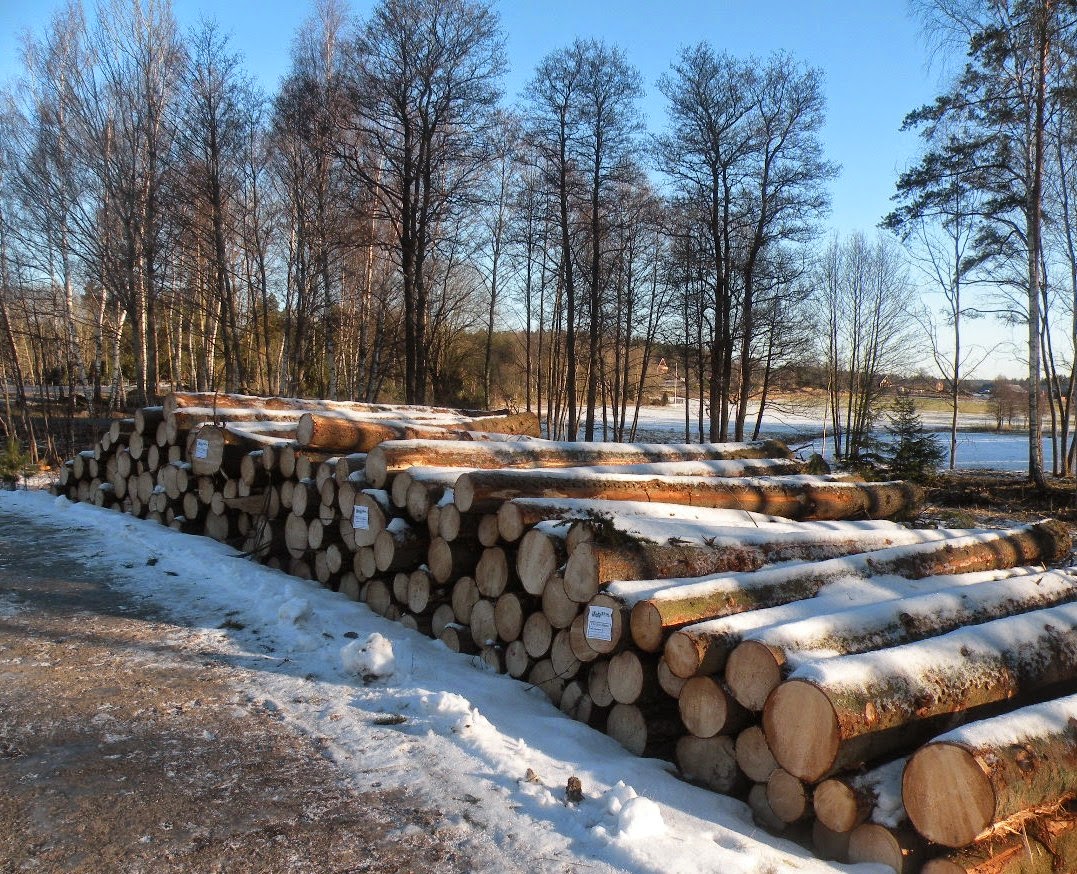 Opinione në Mjedisi SOT: Pyjet ne Suedi