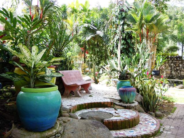 MPV LANDSKAP DAN NURSERI: TIP MEMILIH PASU (BEKAS) TANAMAN HIASAN