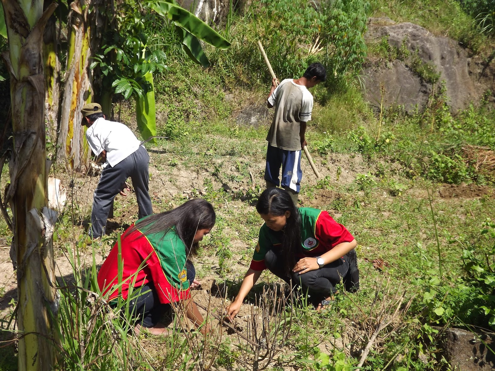 PENANAMAN BUAH NAGA DALAM UPAYA KONSERVASI LAHAN KERING DI DESA NGORO ...