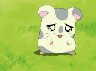 1001 Animes: Kodomo: Hamtaro