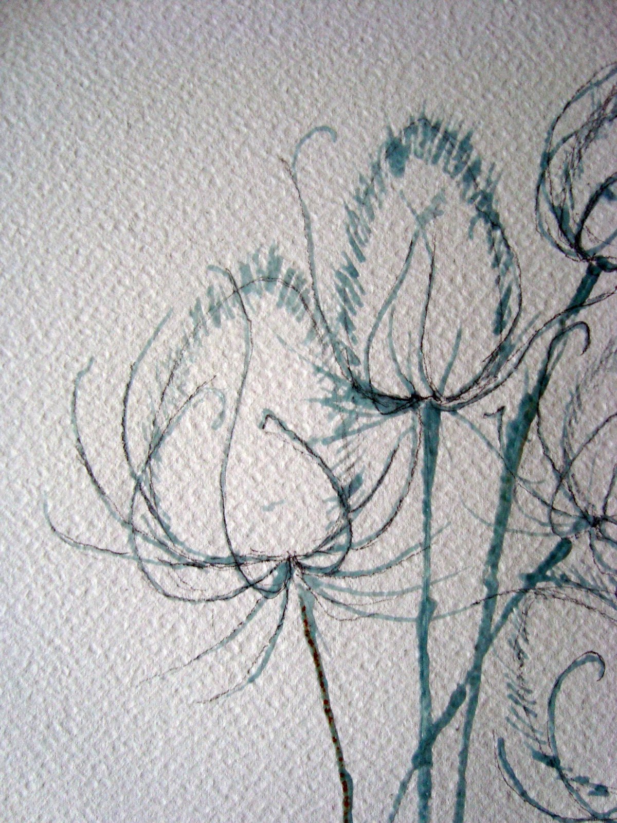 Watercolour Florals: Teasels