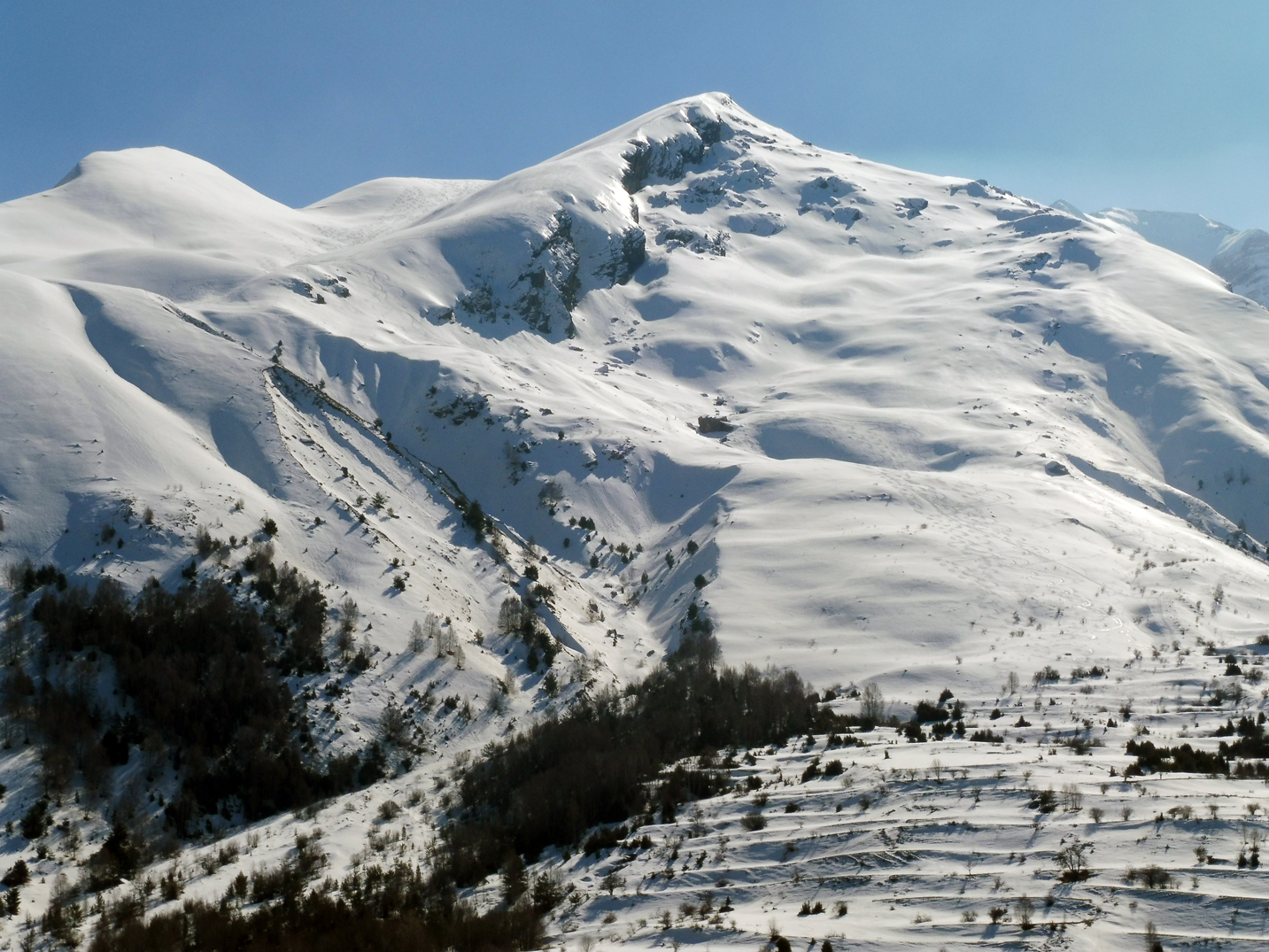 rocayflor: febrero 2018