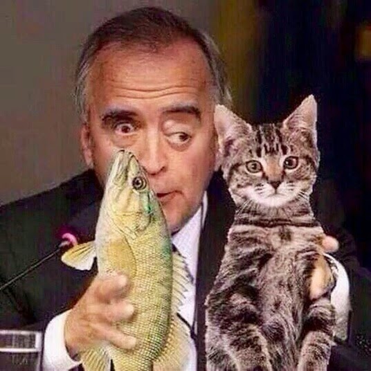 sacanation: Olho no gato outro no peixe!