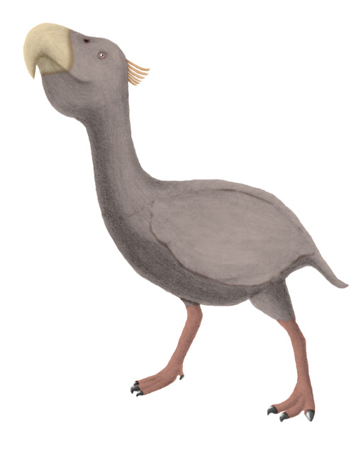 Sounder Art: Kelenken guillermoi